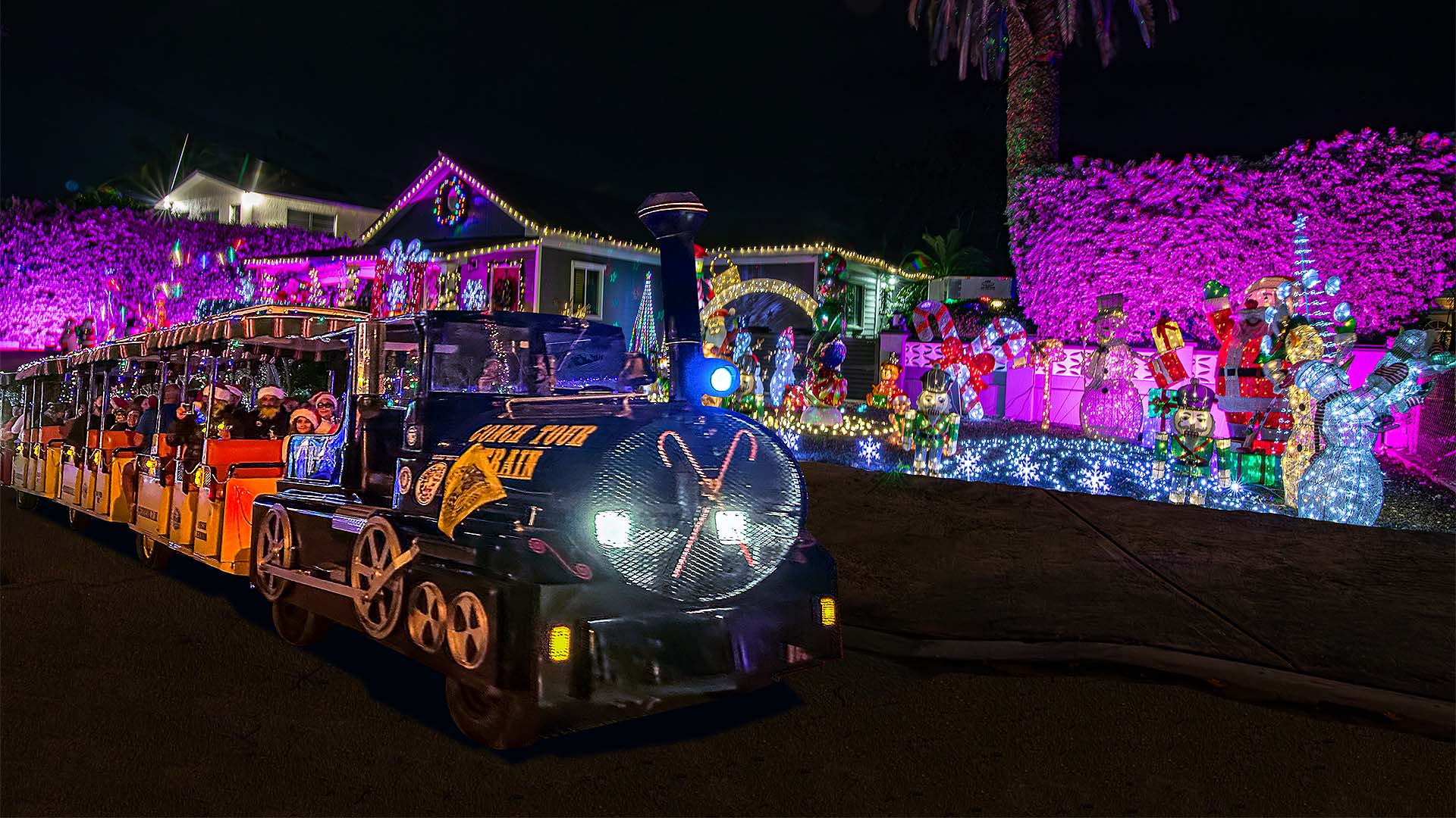 Discover Amazing Key West Tours and Attractions